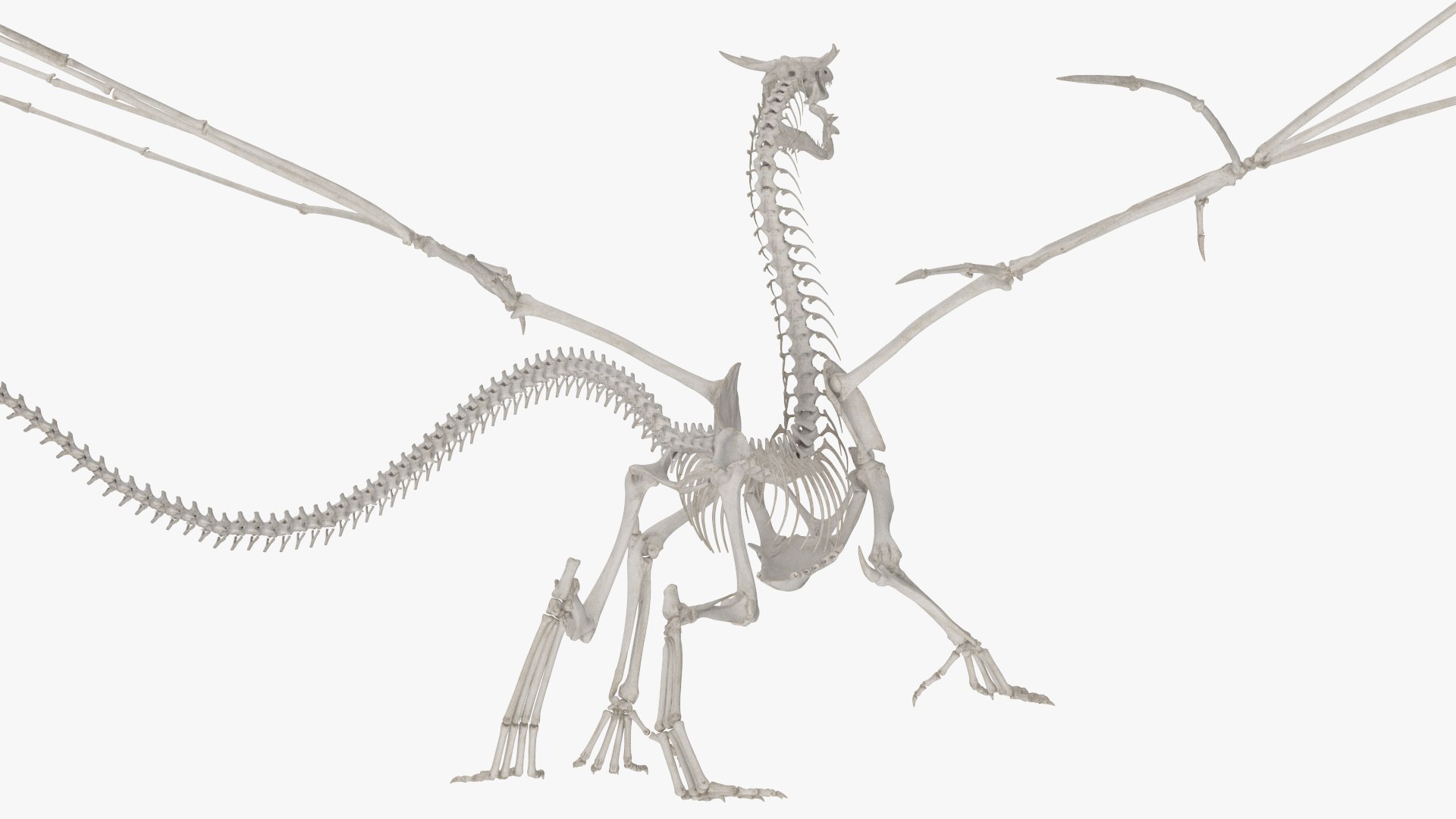 Dragon Skeleton Rigged For Maya 3D Model - TurboSquid 2422403