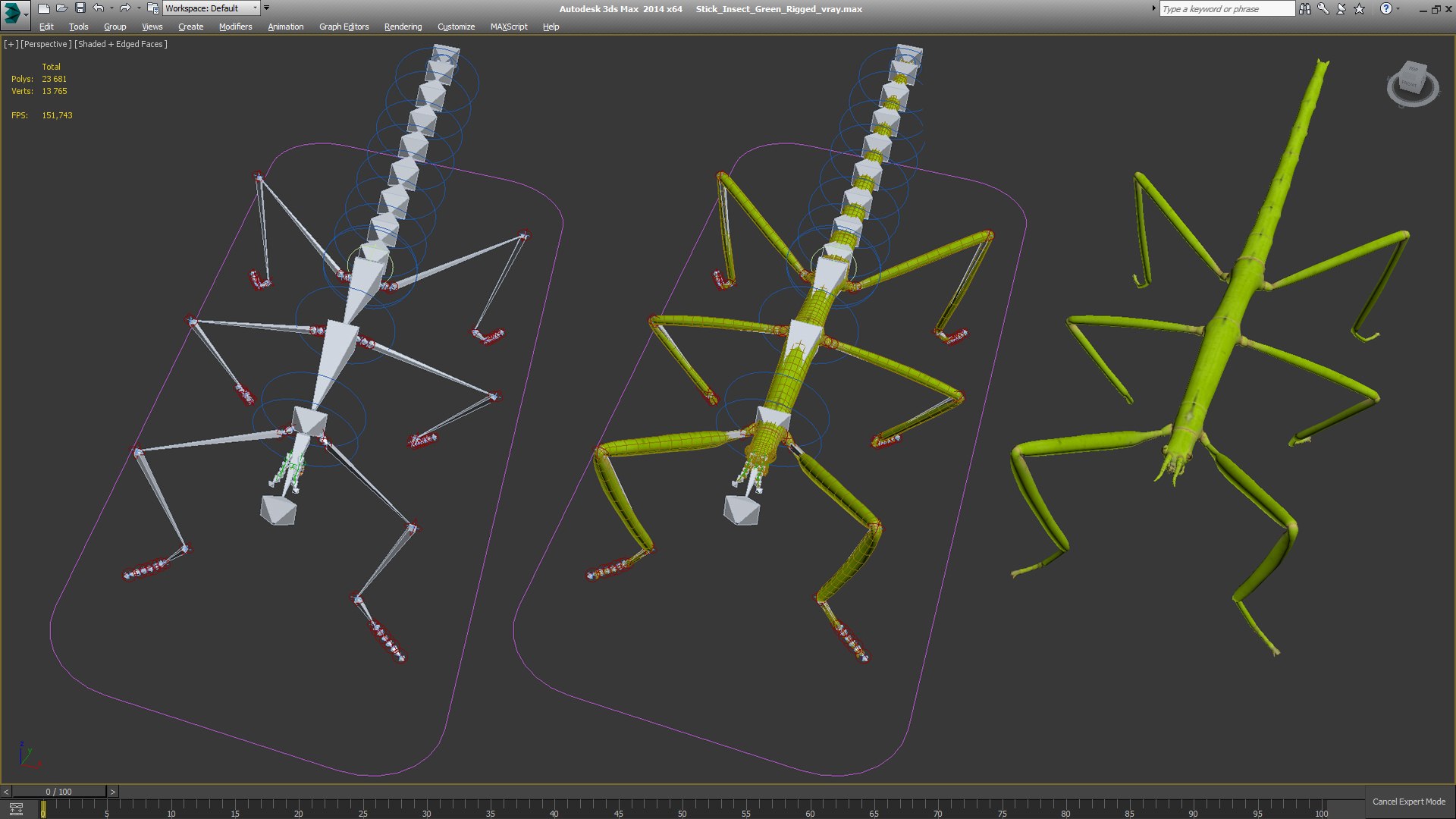 Stick Insect Green Rigged 3D Model - TurboSquid 1496513
