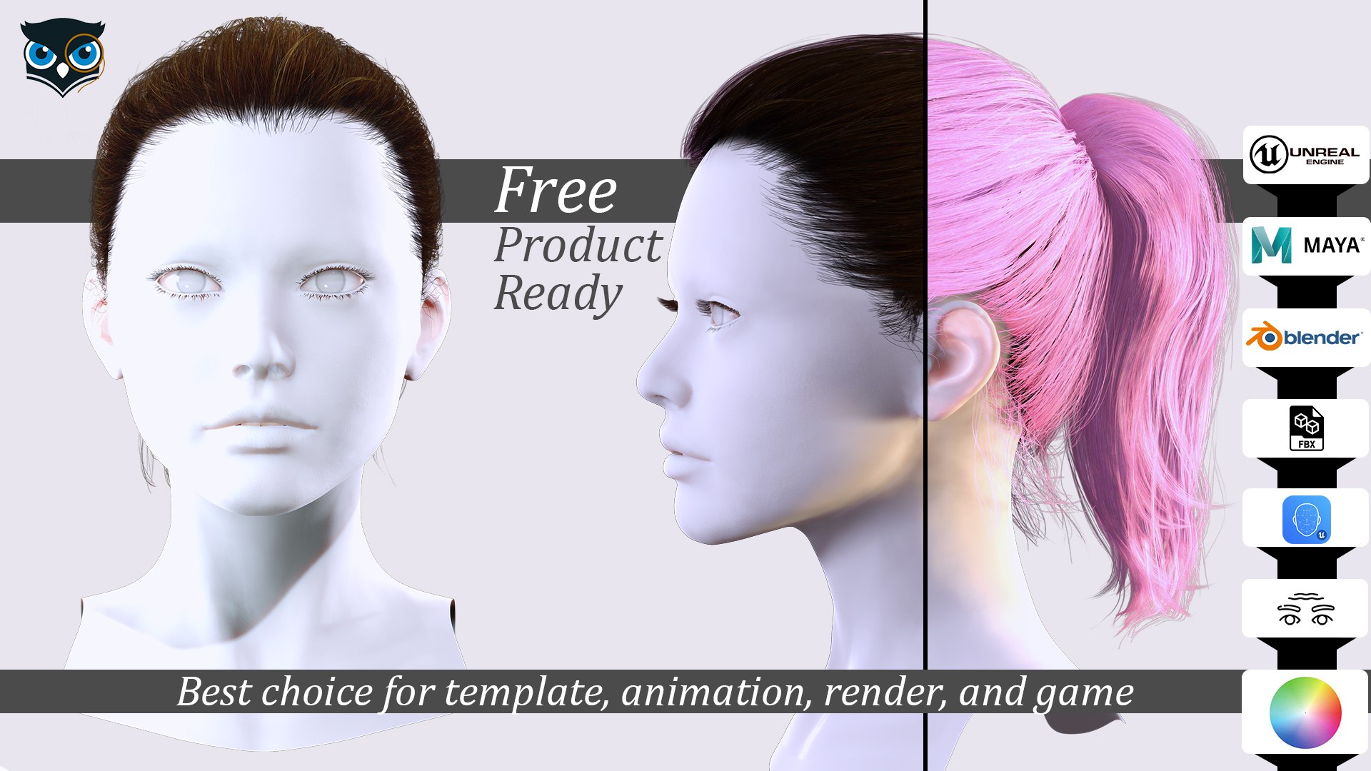 Free Game-Ready 3D Female Hair Realistic Ponytail Model 3D Model ...