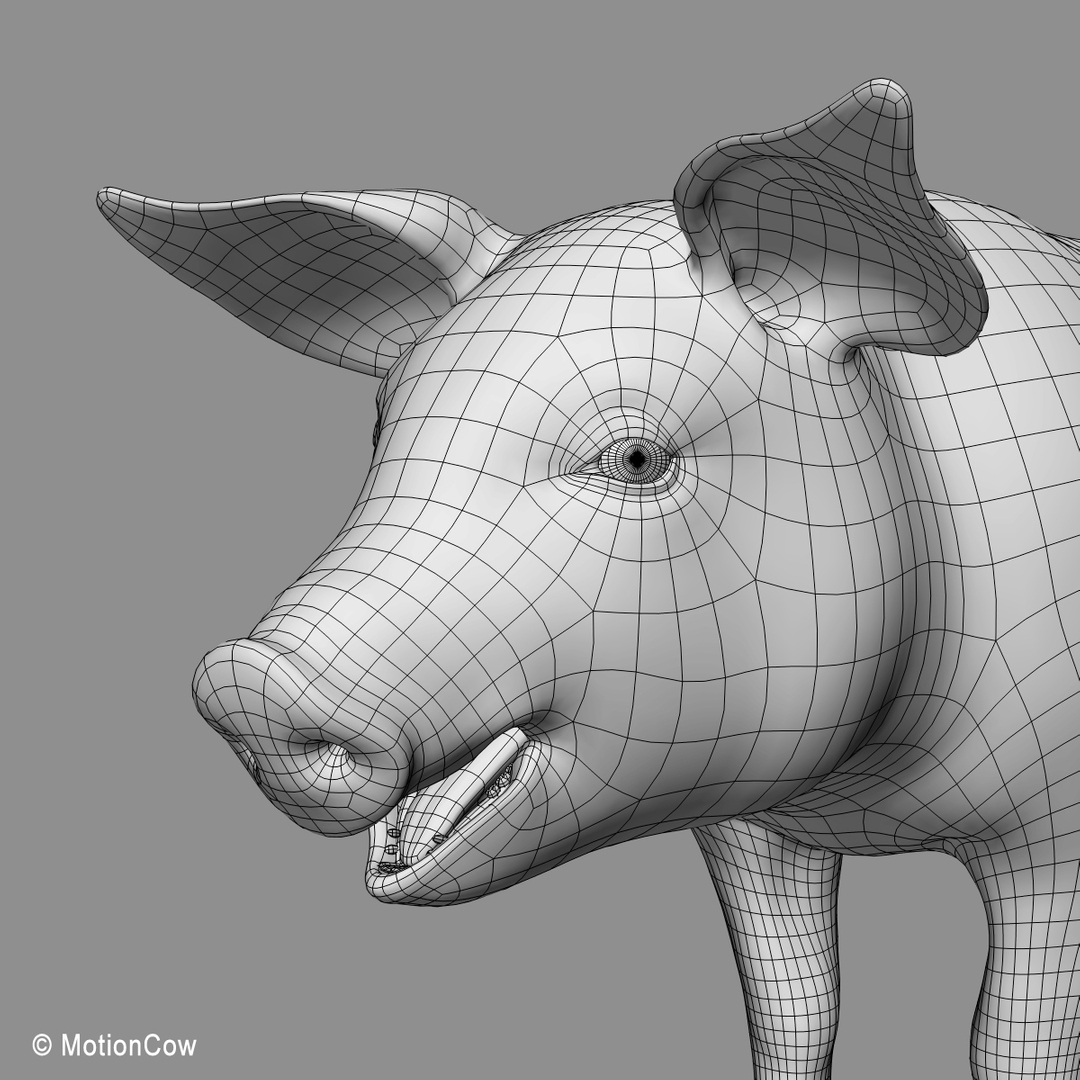 3d model animation pig