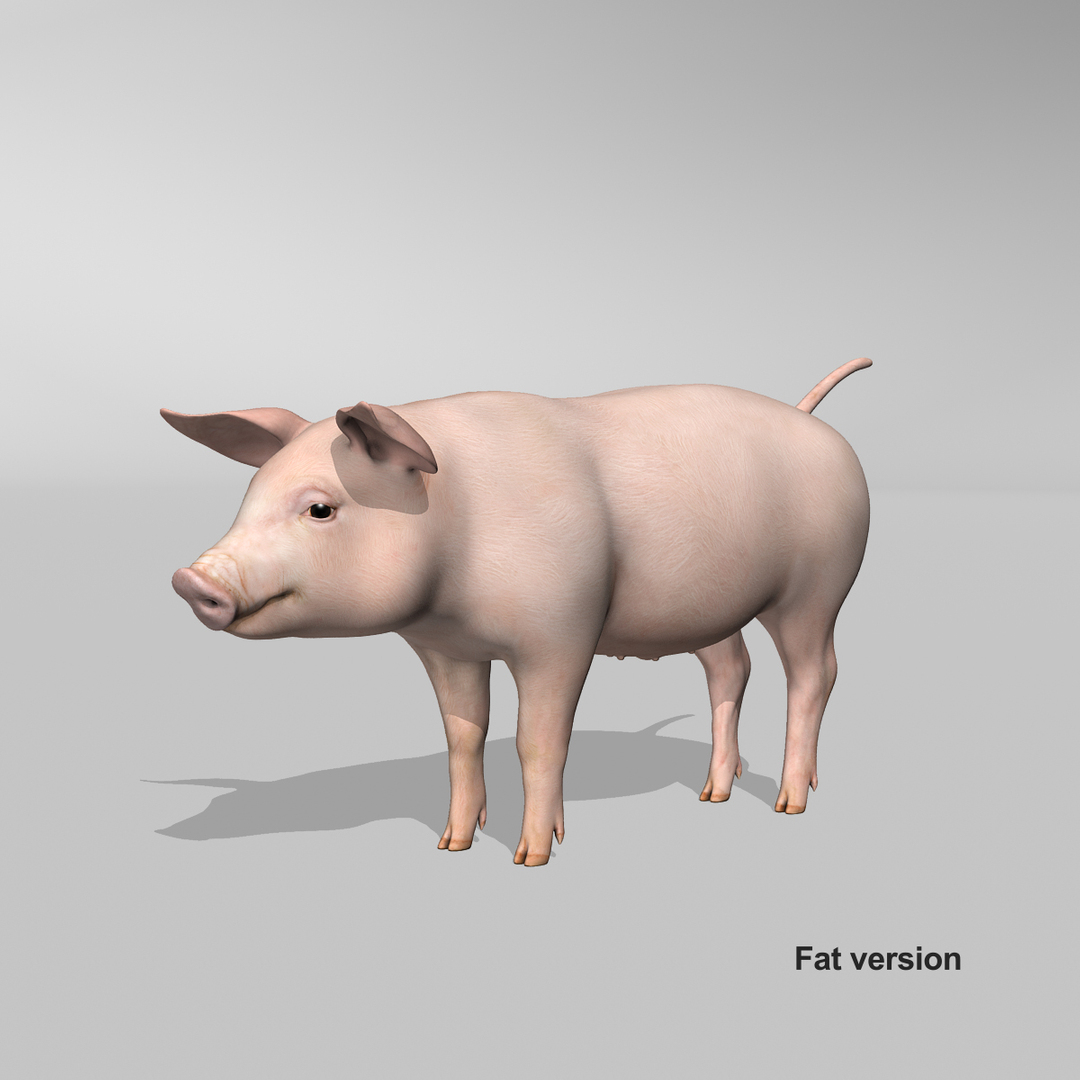 3d model animation pig