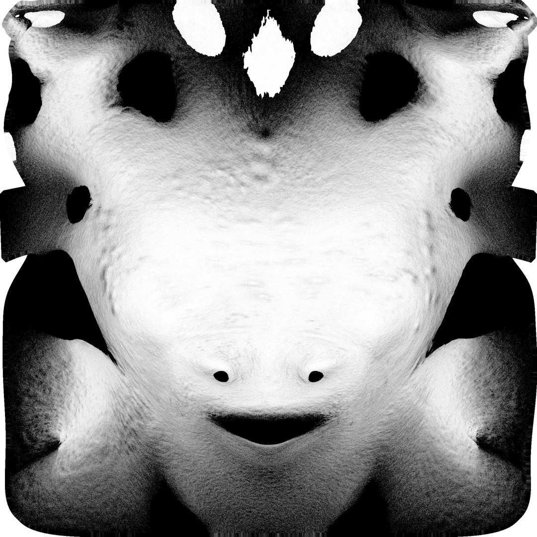 Realistic Toad 3d Model