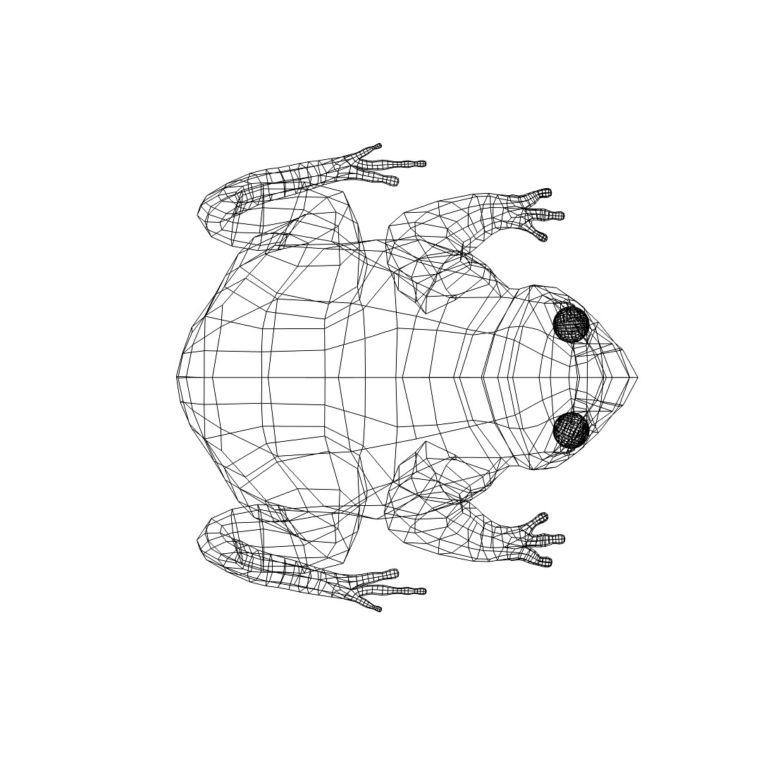 Realistic Toad 3d Model