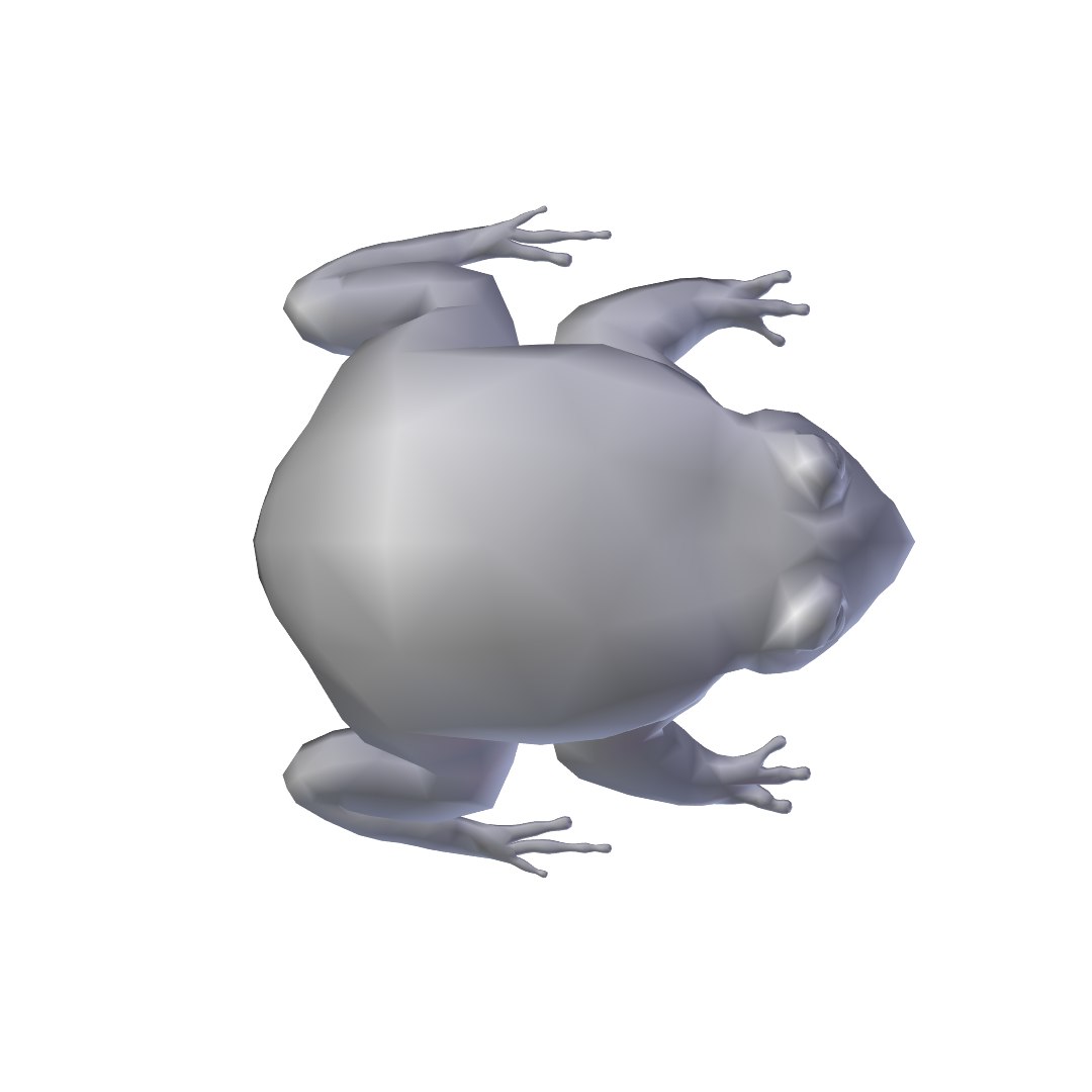 Realistic Toad 3d Model