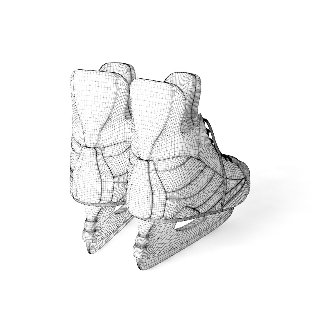 Skates 3D Model - TurboSquid 1214031