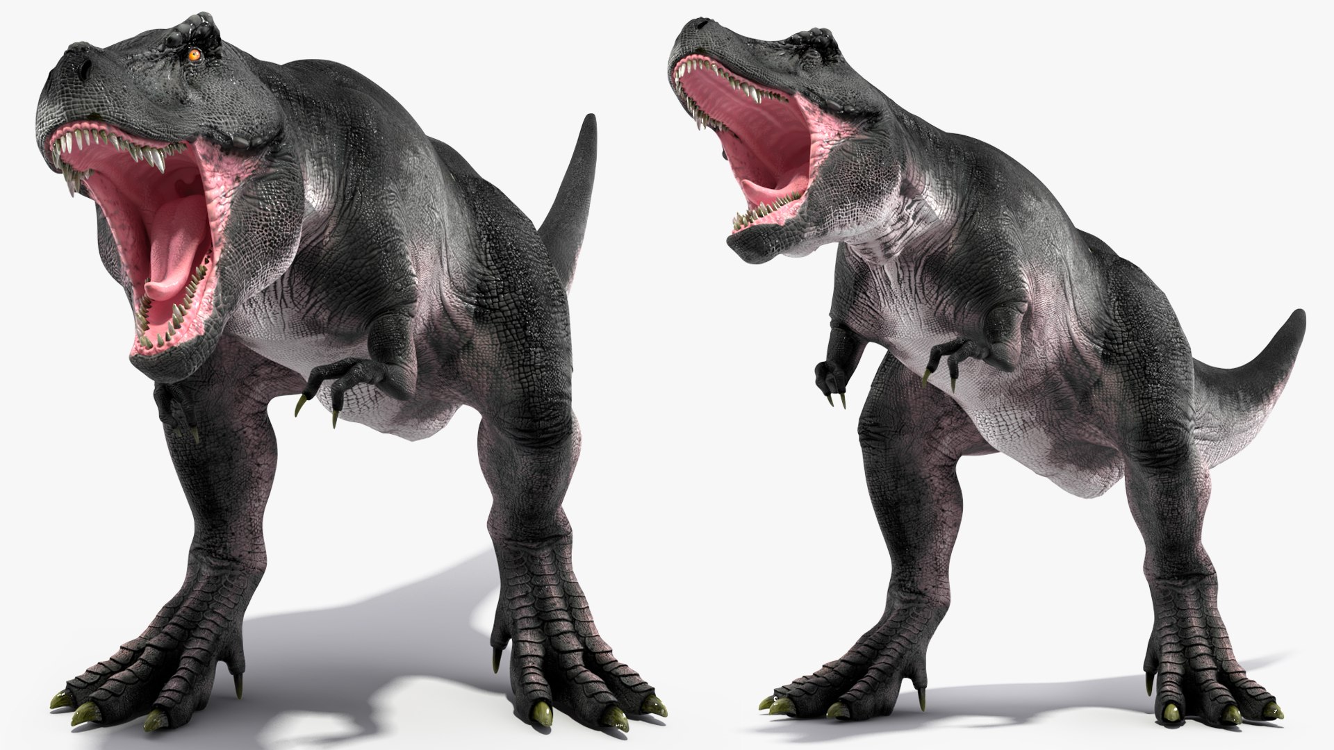 3D T Rex Roaring Animated Rigged - TurboSquid 2102890