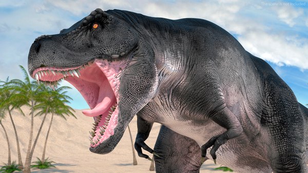 T Rex Roaring 애니메이션 조작 3D 모델 - TurboSquid 2102890