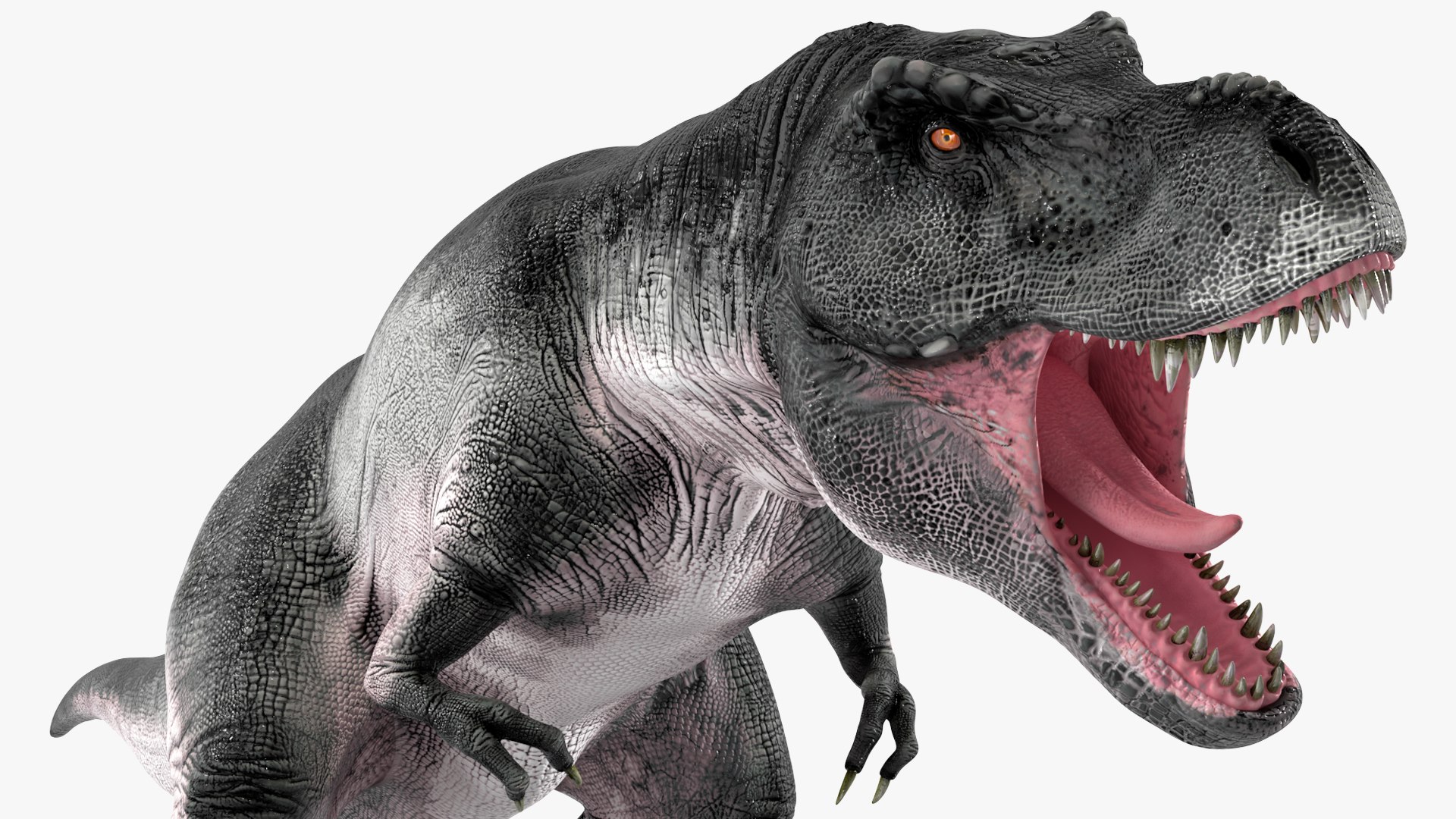 3D T Rex Roaring Animated Rigged - TurboSquid 2102890