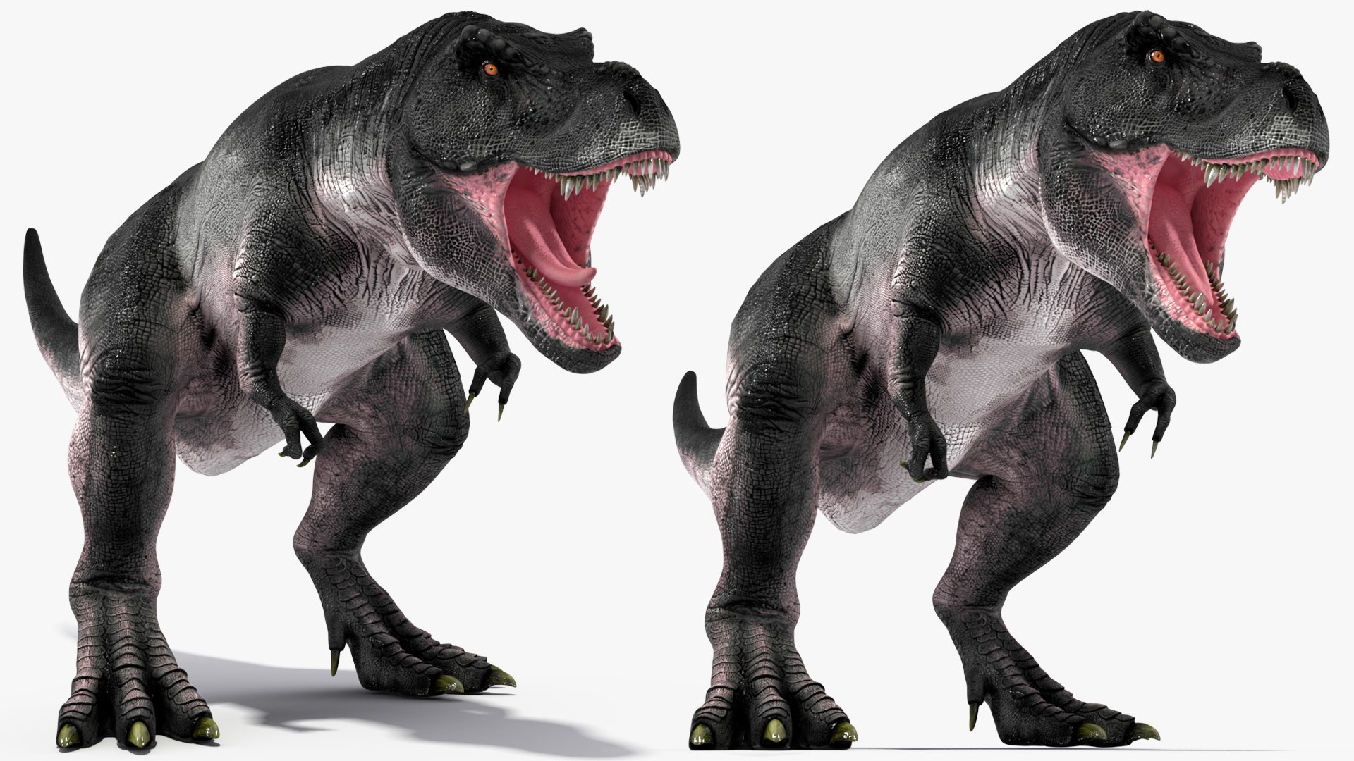 3D T Rex Roaring Animated Rigged - TurboSquid 2102890