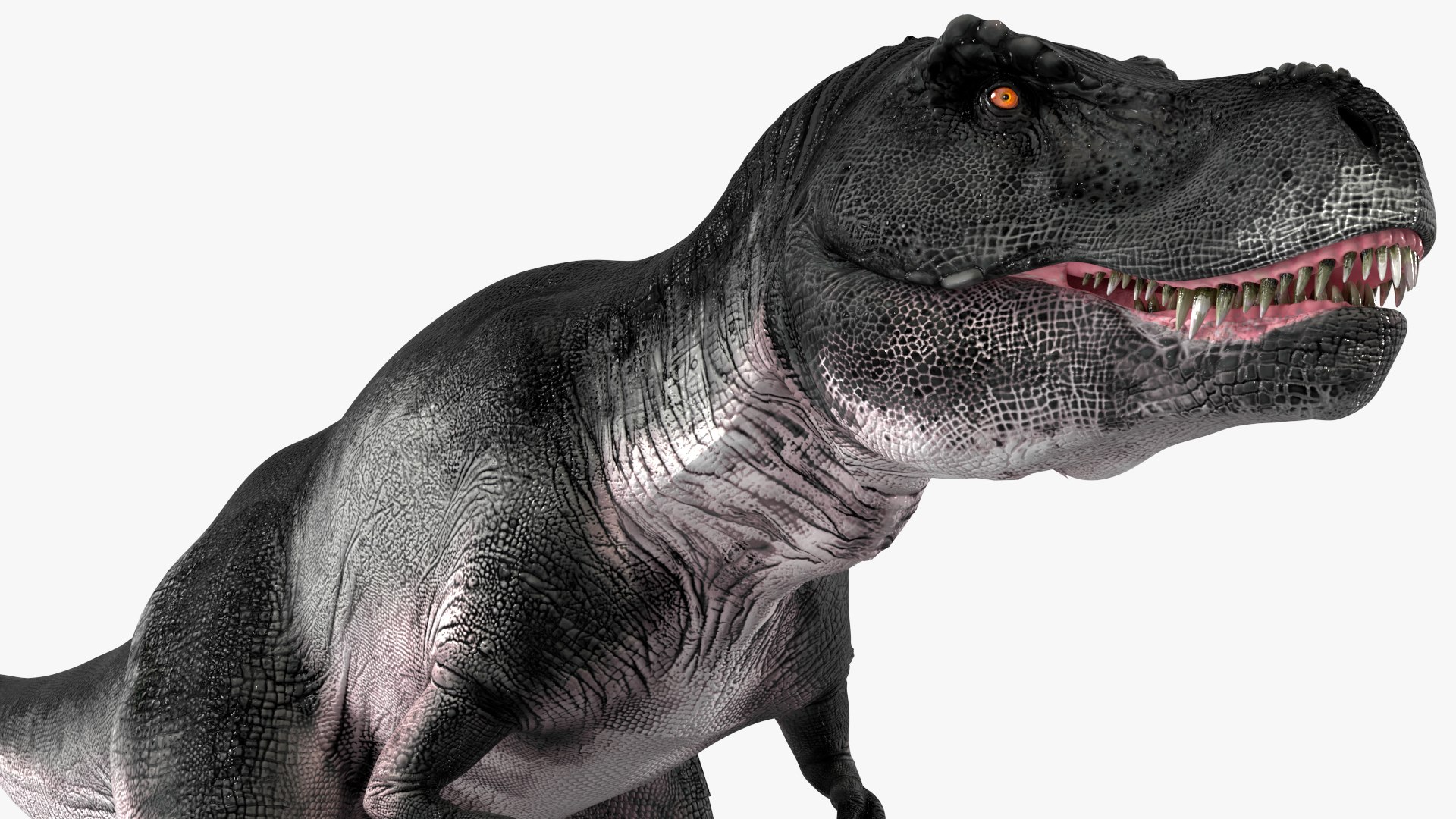 3D T Rex Roaring Animated Rigged - TurboSquid 2102890