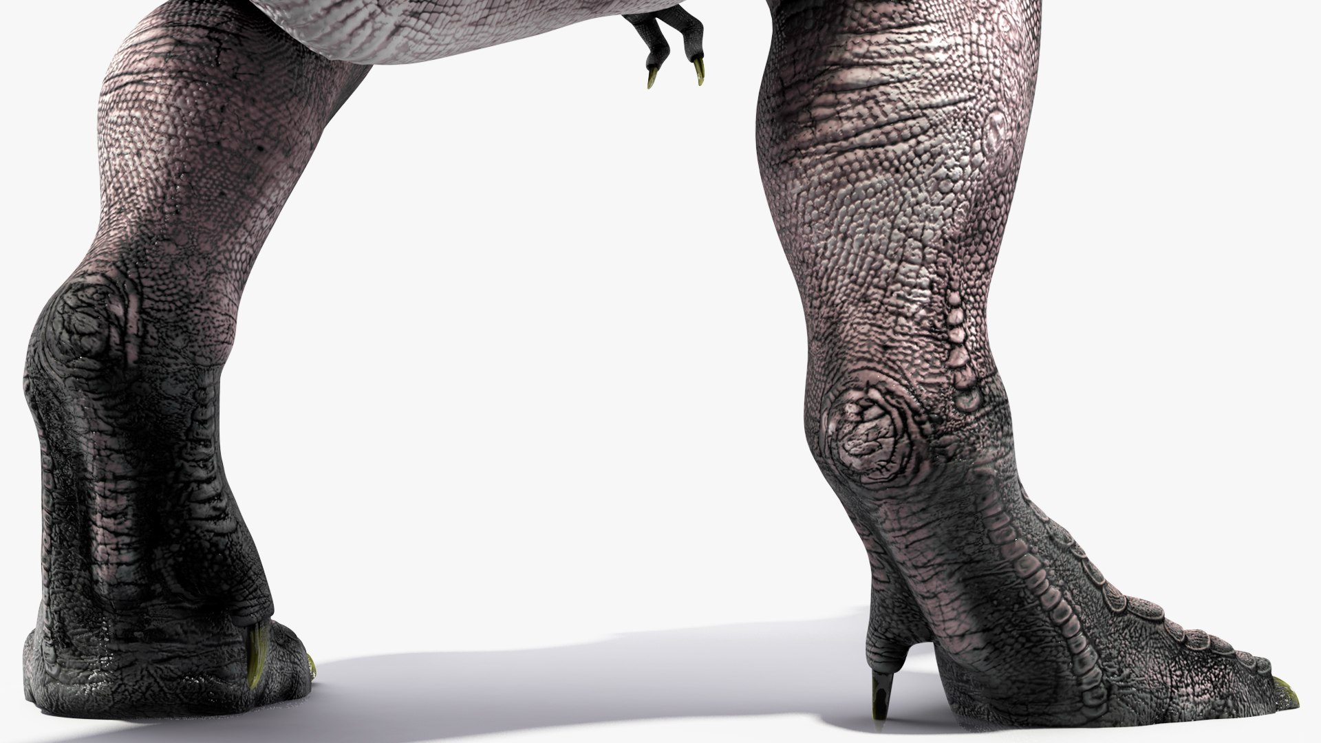 3D T Rex Roaring Animated Rigged - TurboSquid 2102890
