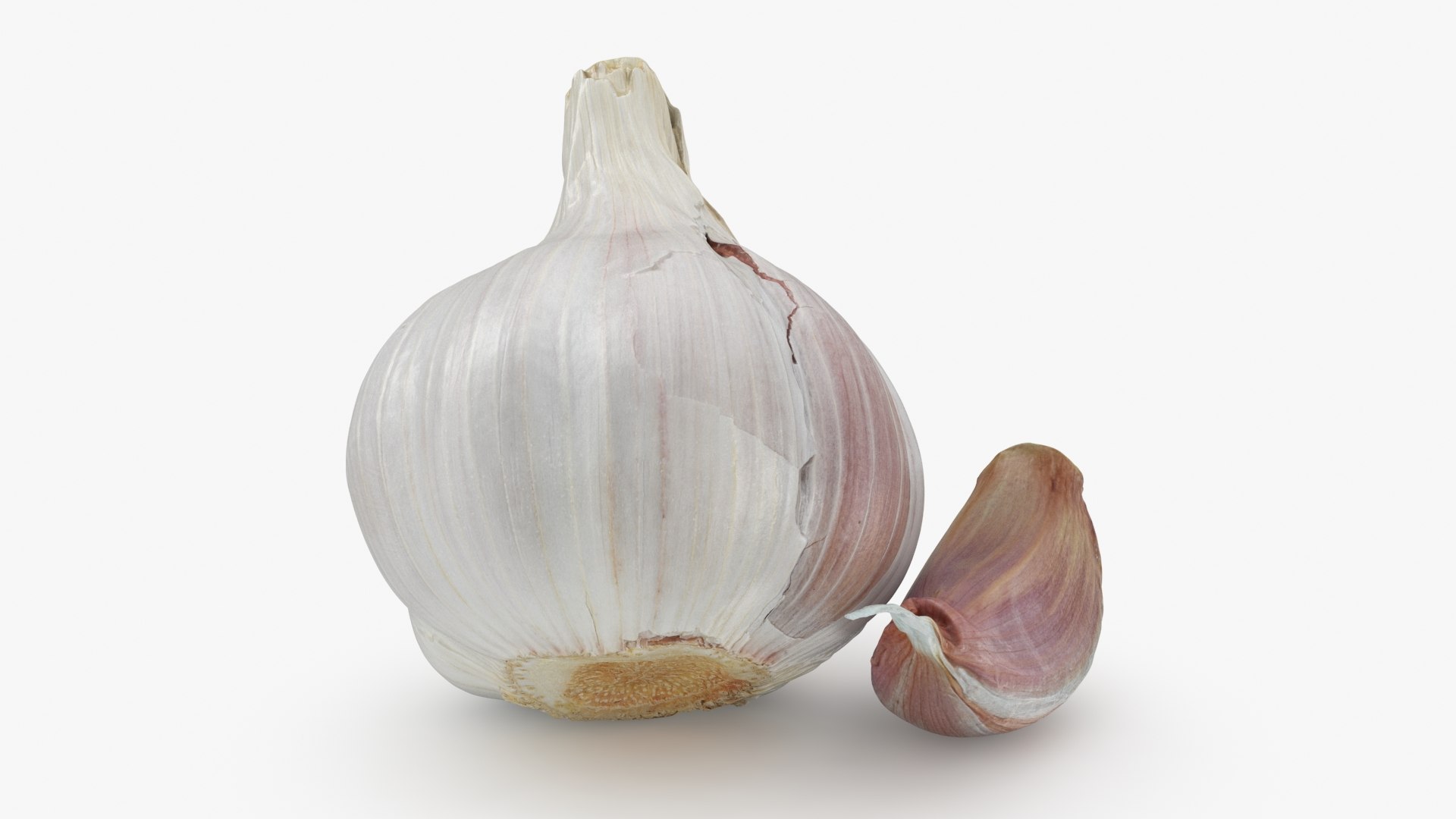 3D Garlic Model - TurboSquid 2281718