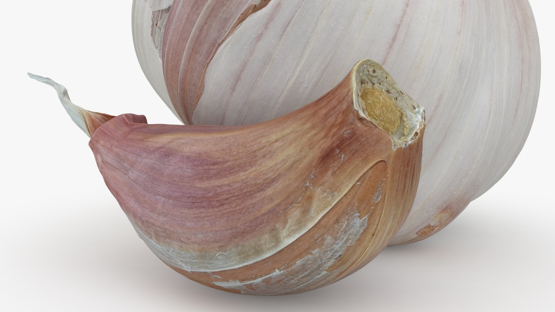3D Garlic Model - TurboSquid 2281718