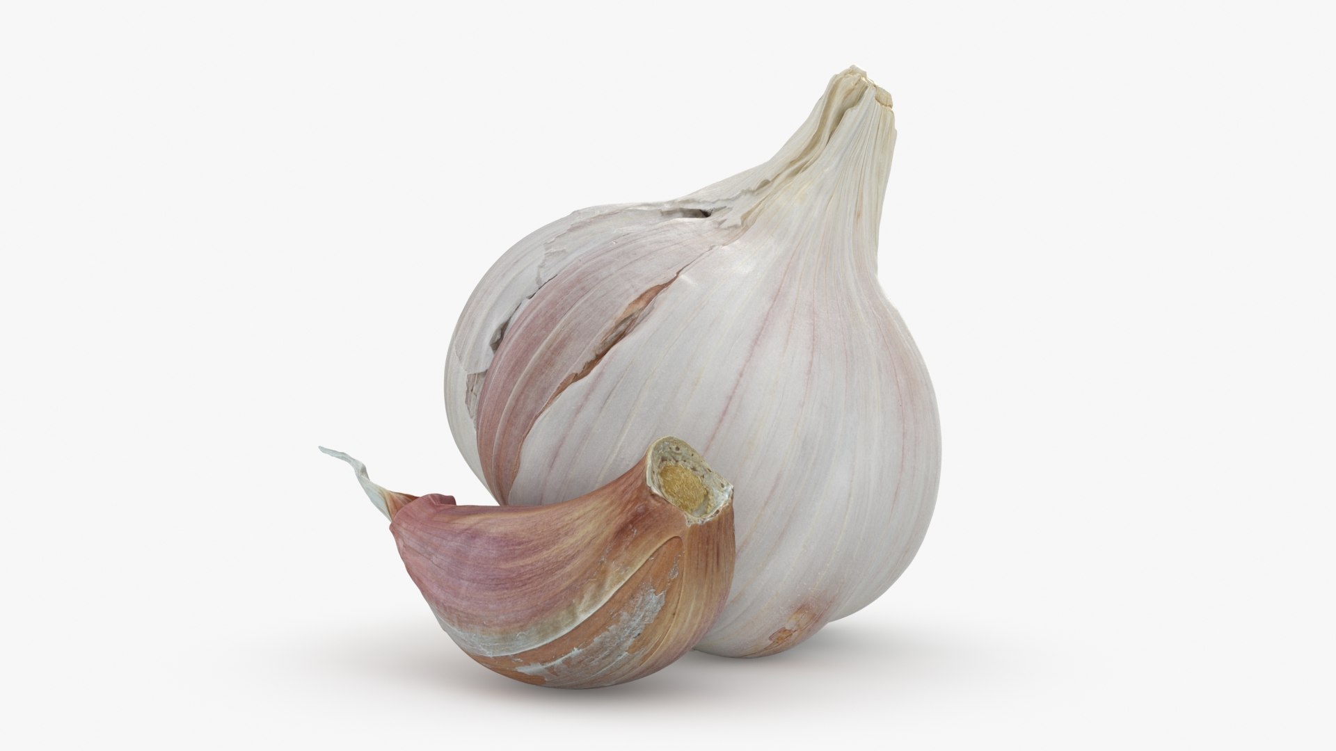 3D Garlic Model - TurboSquid 2281718