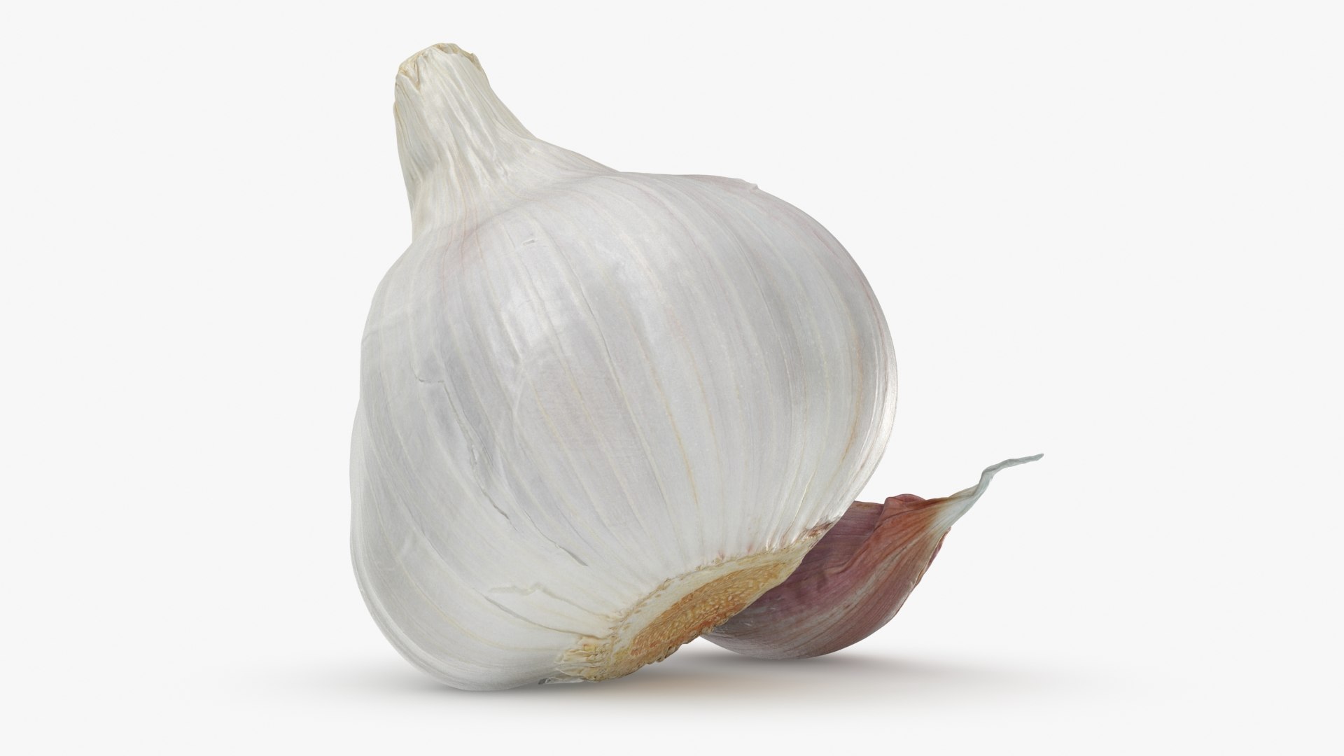 3D Garlic Model - TurboSquid 2281718