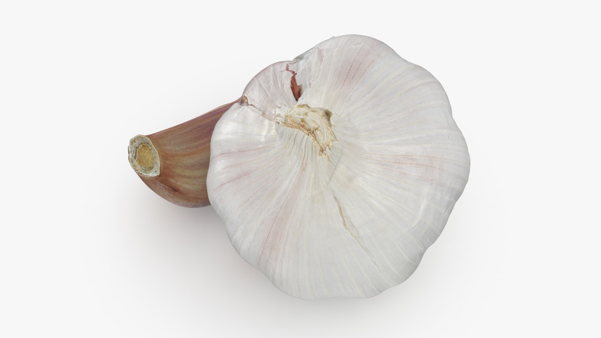 3D Garlic Model - TurboSquid 2281718