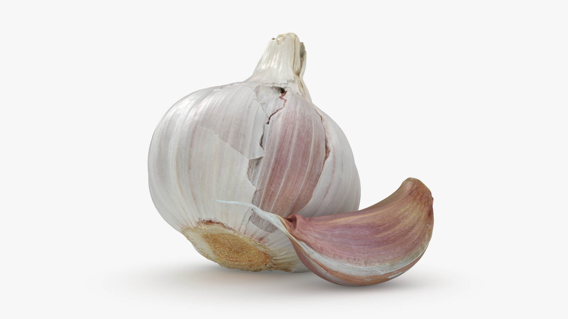 3D Garlic Model - TurboSquid 2281718