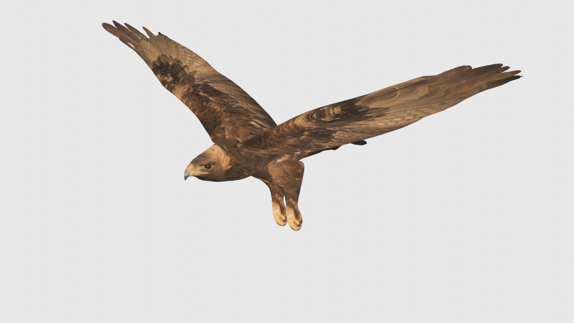 Low Poly Eagle Rigged With Realistic Texture 3D Model - TurboSquid 1875948
