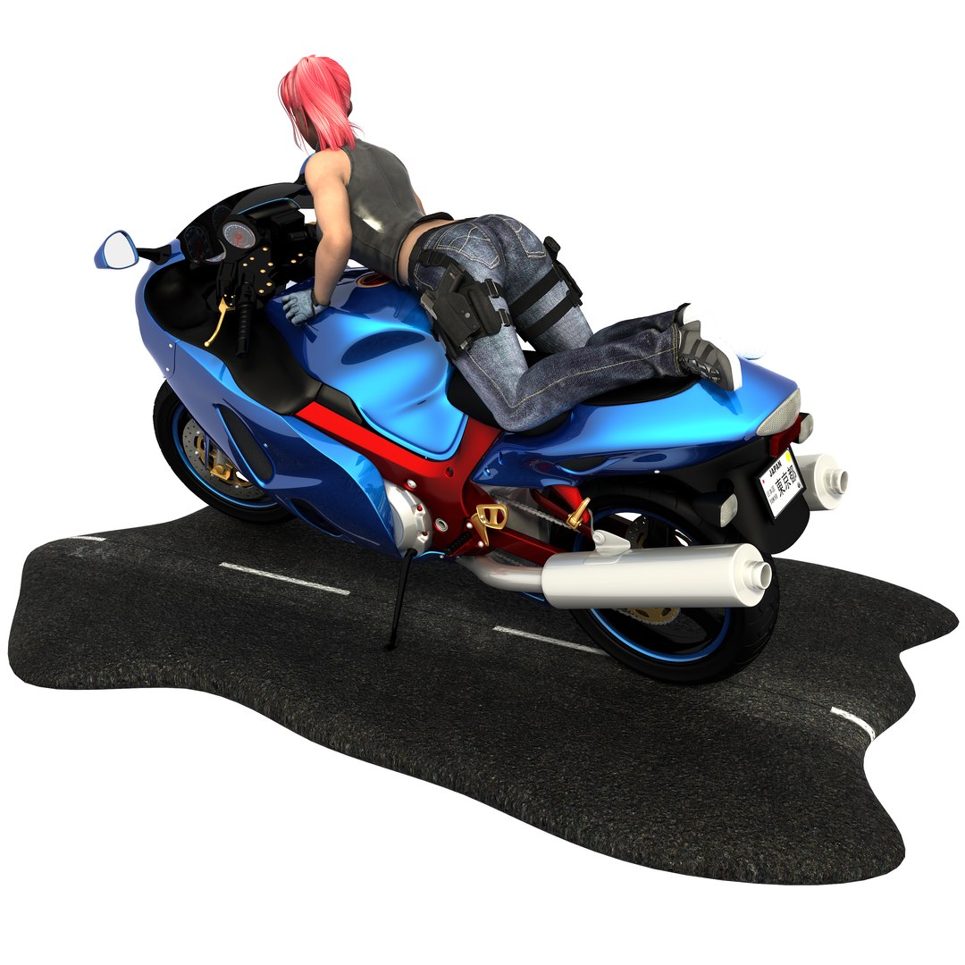 Suzuki Hayabusa Police Woman Max