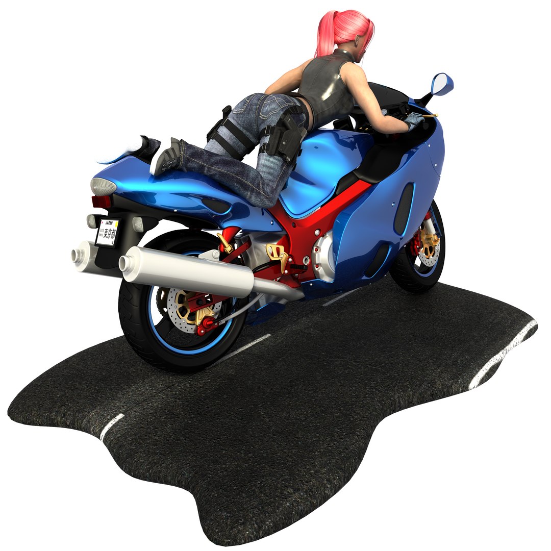 Suzuki Hayabusa Police Woman Max