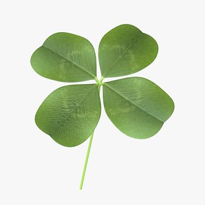 3D Clover Models - Browse & Download Formats - TurboSquid