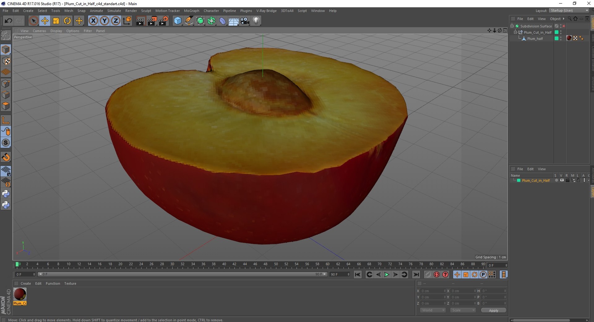 3D Plum Cut In Half - TurboSquid 2174751