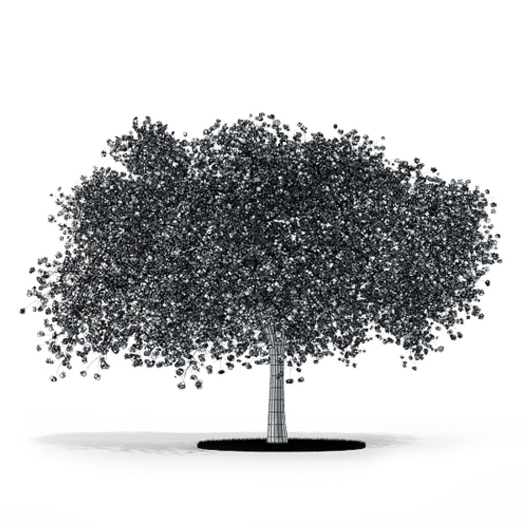 volume 5 tree 3d model