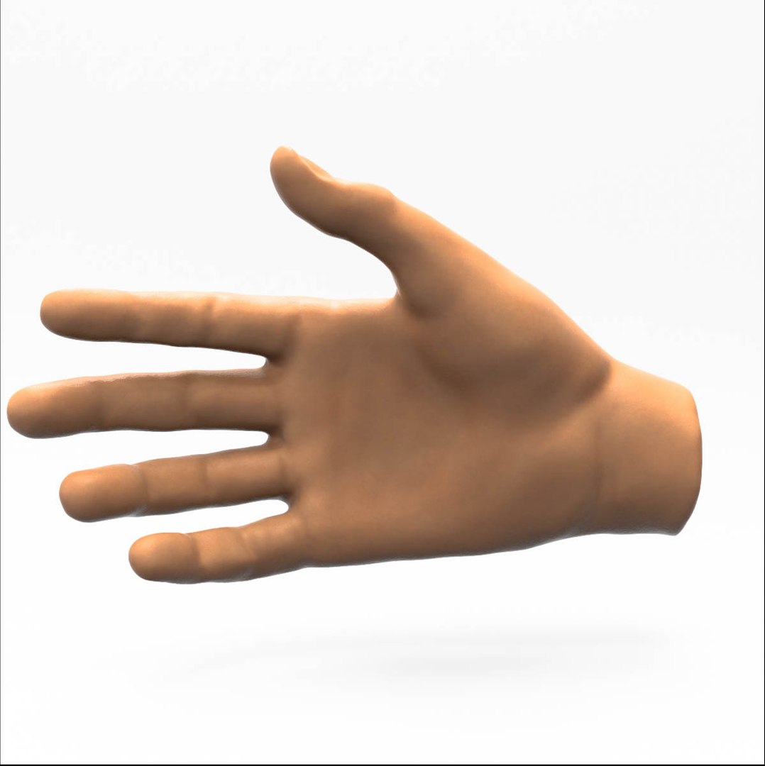 3D Human Hand Model - TurboSquid 1378364