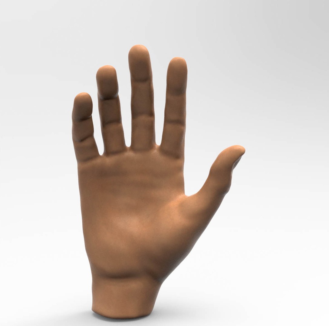 3D Human Hand Model - TurboSquid 1378364