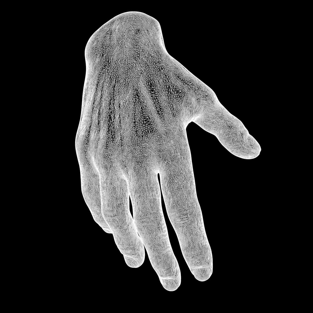 3D Human Hand Model - TurboSquid 1378364