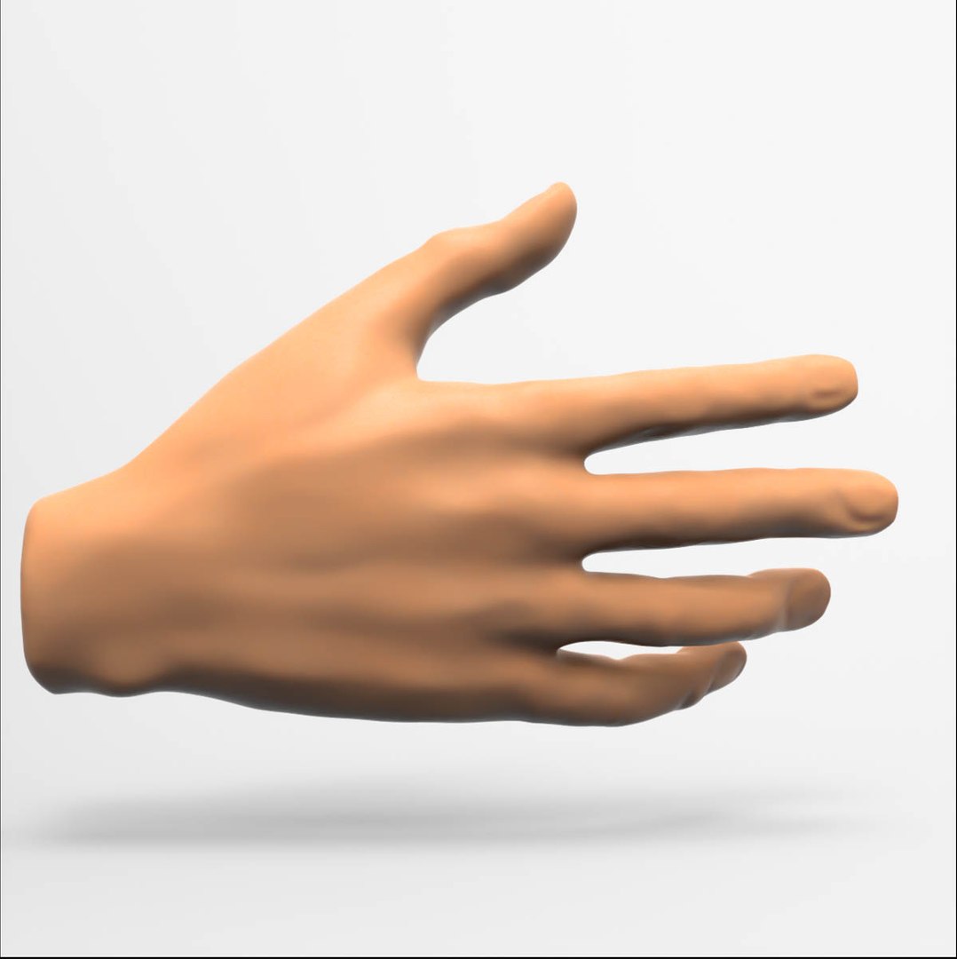 3D Human Hand Model - TurboSquid 1378364
