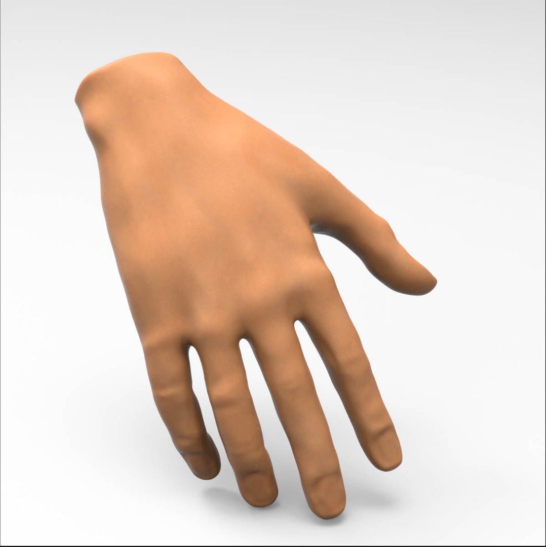 3D Human Hand Model - TurboSquid 1378364