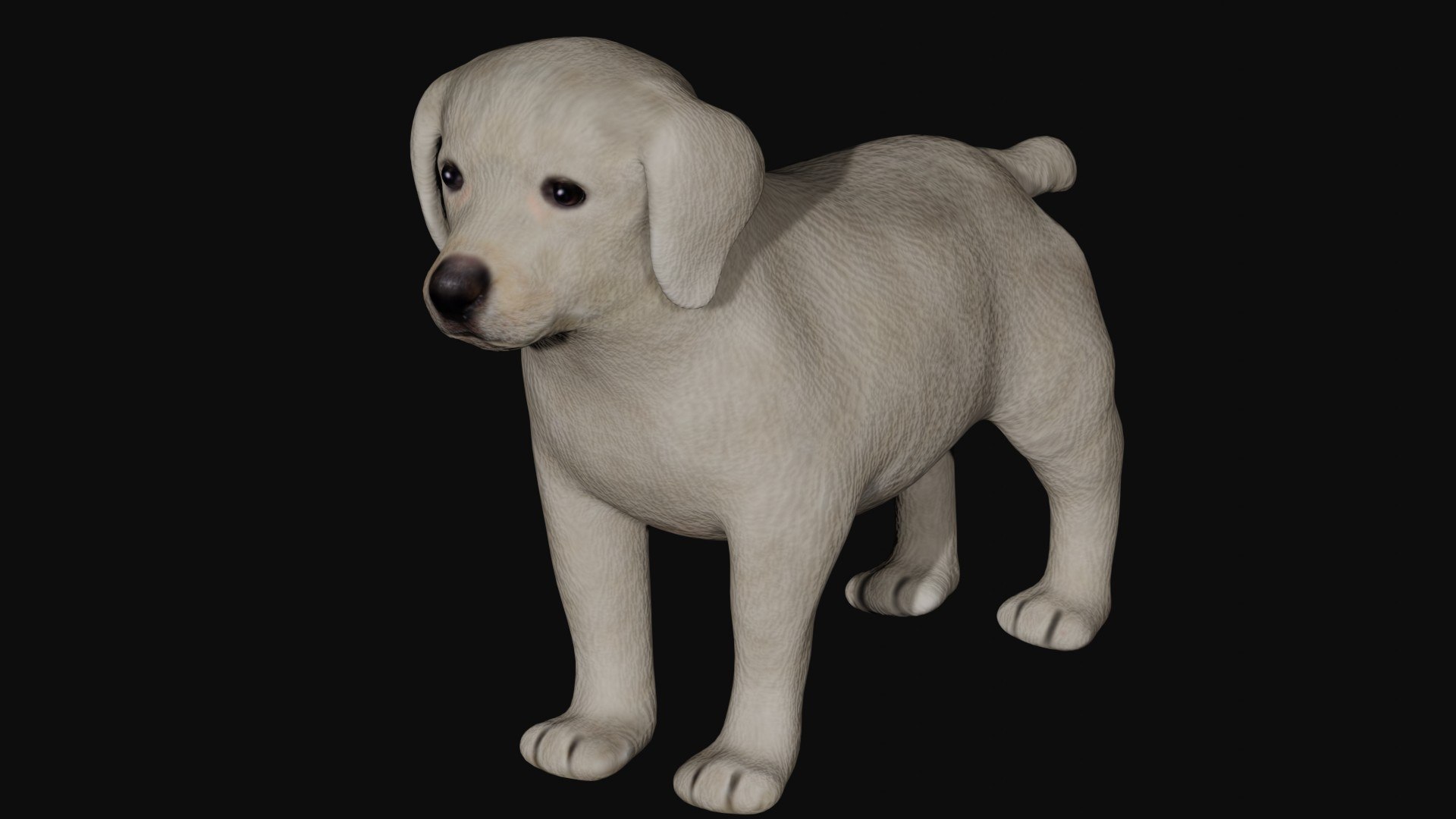 3D Model Fully Rigged Low Poly Labrador Puppy - TurboSquid 1751969