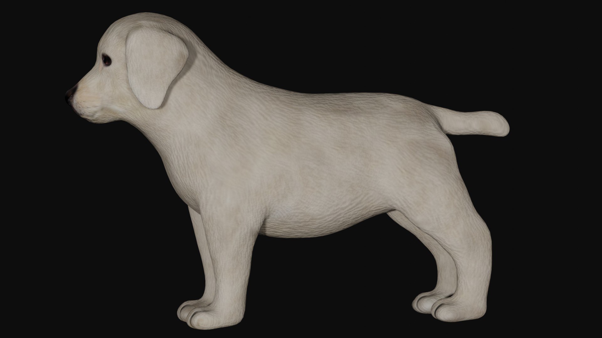 3D Model Fully Rigged Low Poly Labrador Puppy - TurboSquid 1751969
