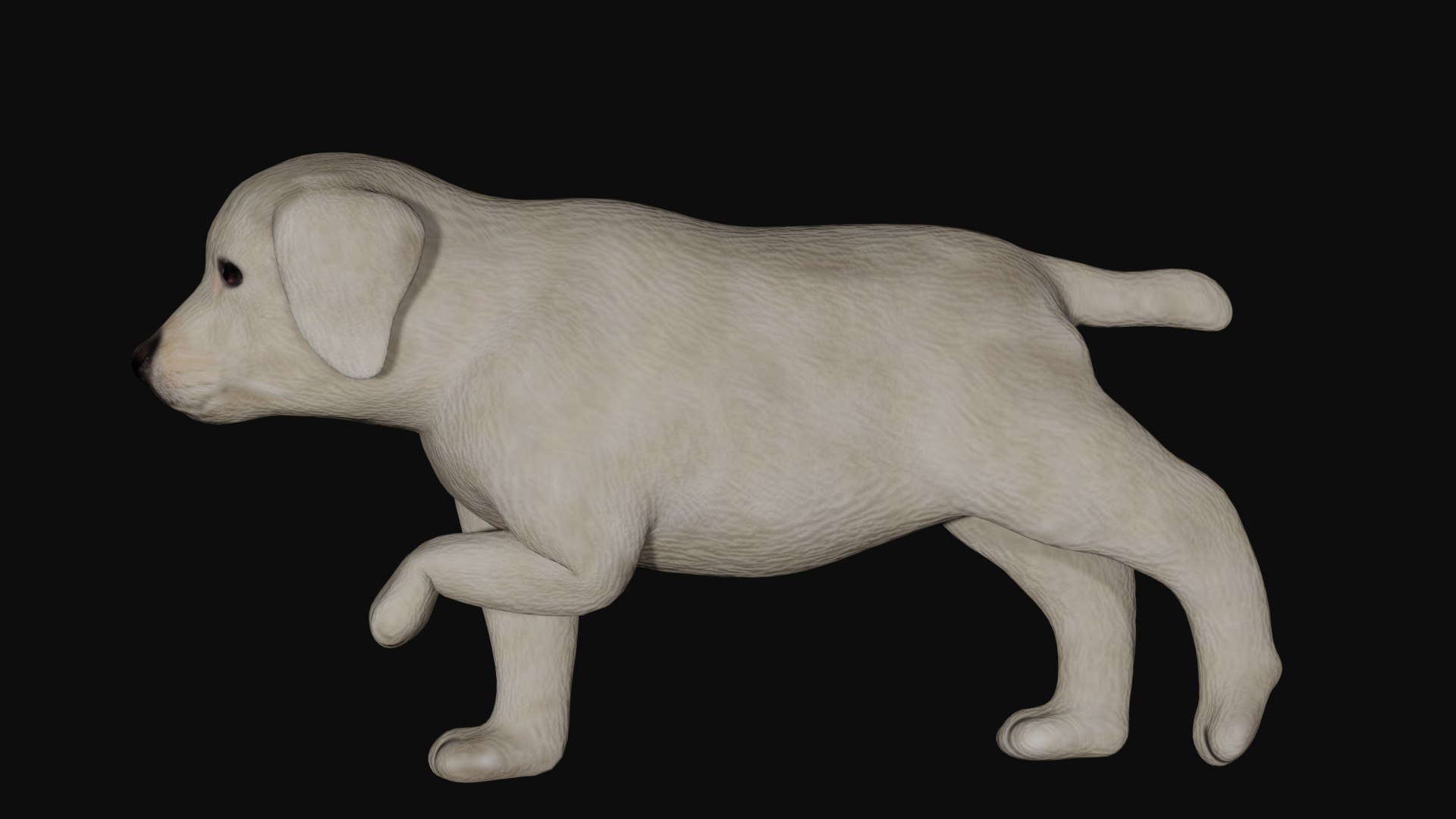 3D Model Fully Rigged Low Poly Labrador Puppy - TurboSquid 1751969