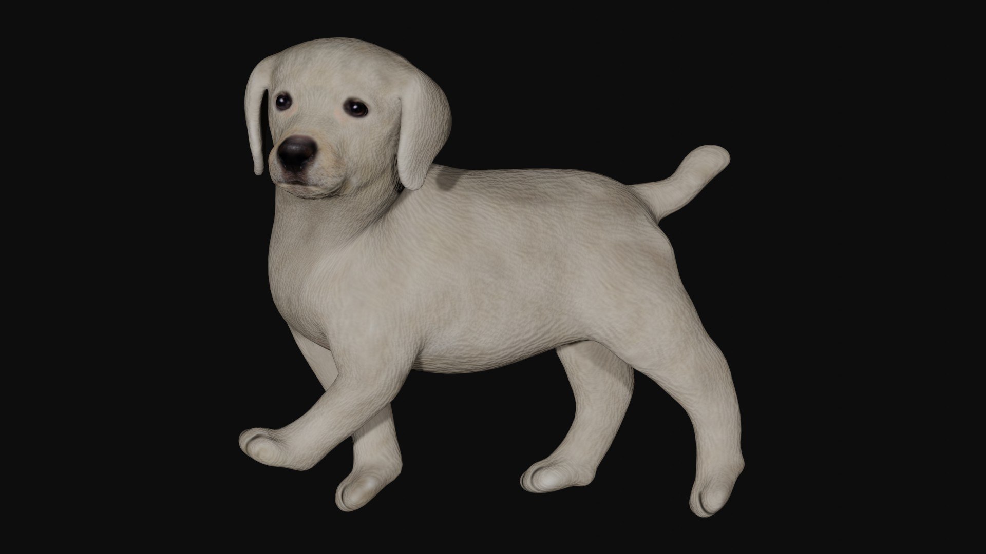 3D Model Fully Rigged Low Poly Labrador Puppy - TurboSquid 1751969