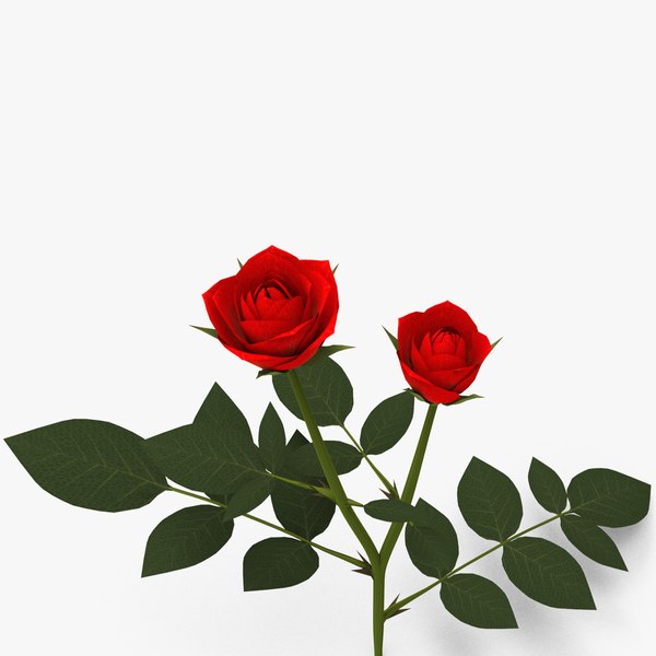 modelo 3d Rosa roja - TurboSquid 1852154