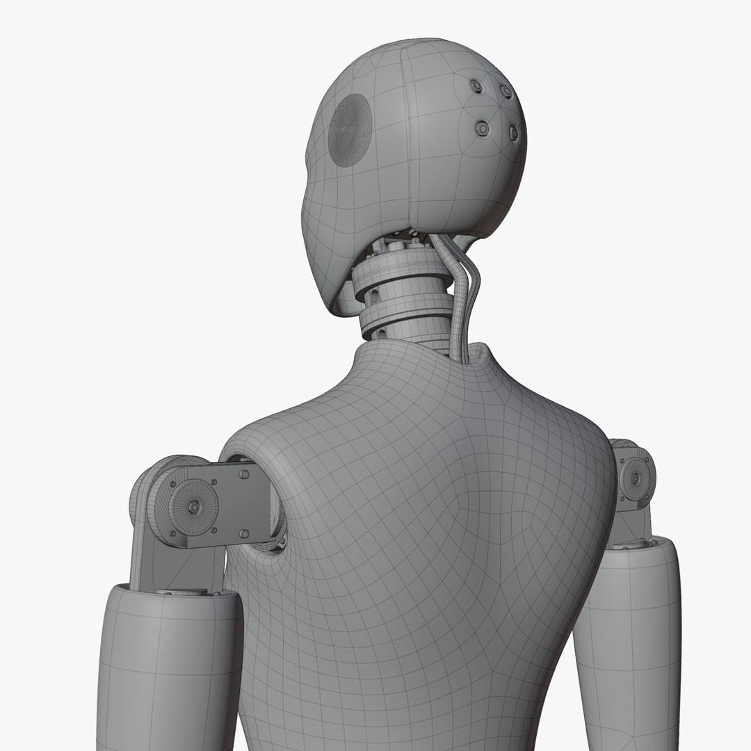 Crash Test Female Dummy 3D model - TurboSquid 2159979