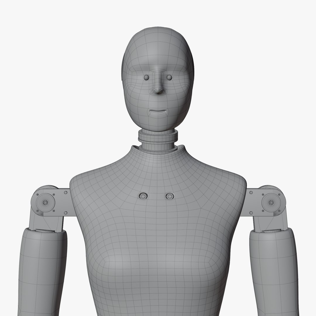 Crash Test Female Dummy 3D model - TurboSquid 2159979