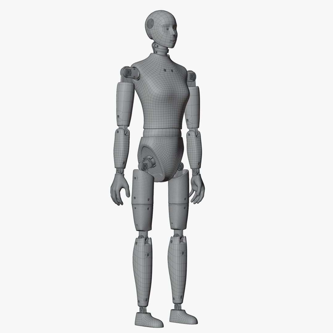 Crash Test Female Dummy 3D model - TurboSquid 2159979