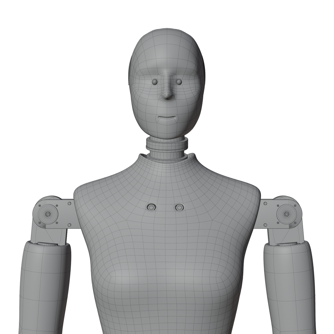 Crash Test Female Dummy 3D Model - TurboSquid 2159979