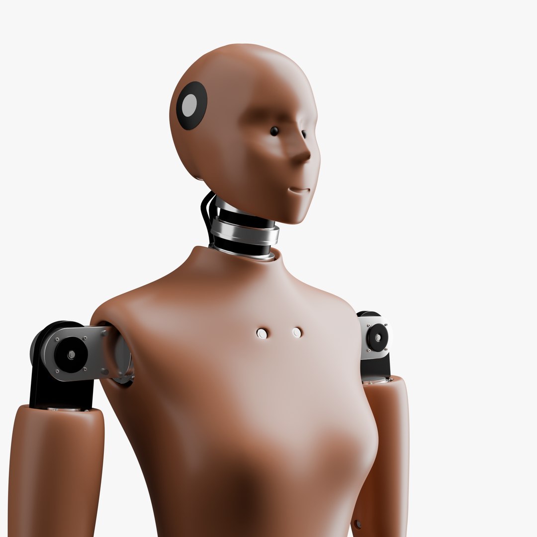 Crash Test Female Dummy 3D Model - TurboSquid 2159979