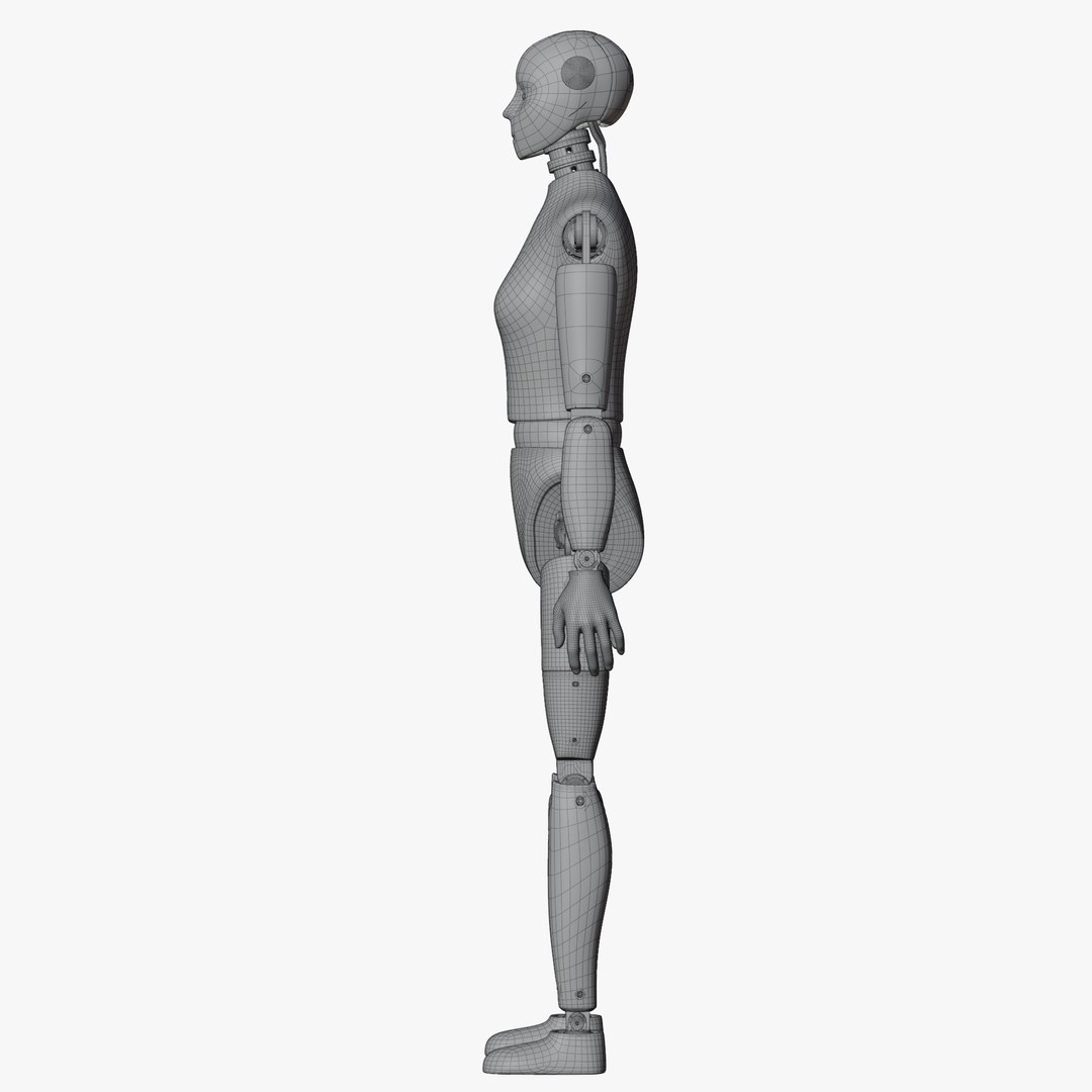 Crash Test Female Dummy 3D Model - TurboSquid 2159979
