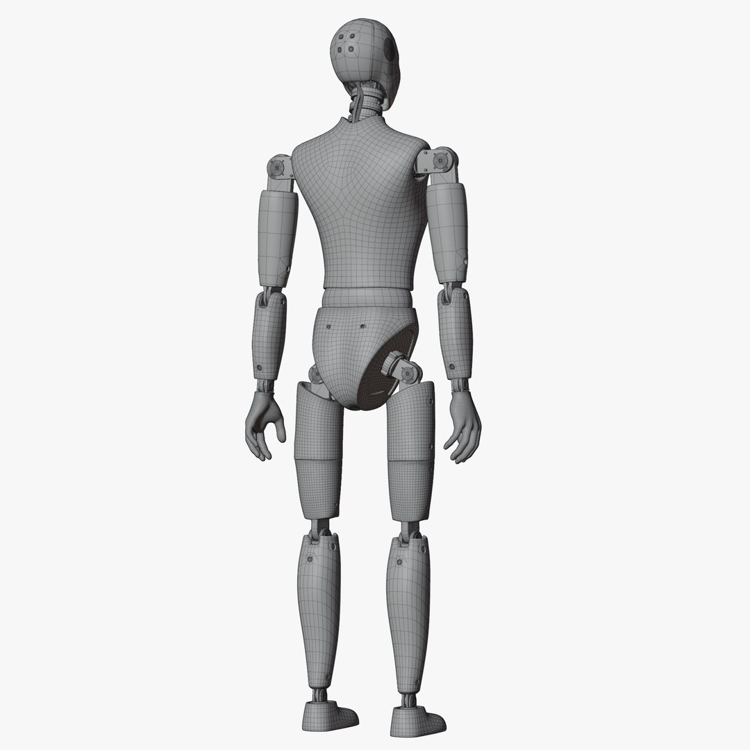 Crash Test Female Dummy 3D Model - TurboSquid 2159979
