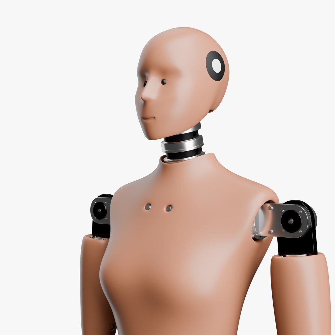 Crash Test Female Dummy 3D Model - TurboSquid 2159979