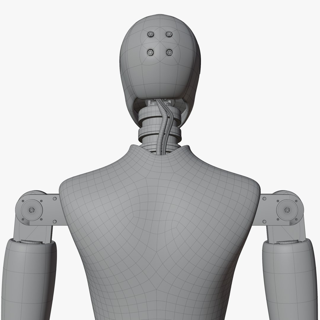 Crash Test Female Dummy 3D model - TurboSquid 2159979