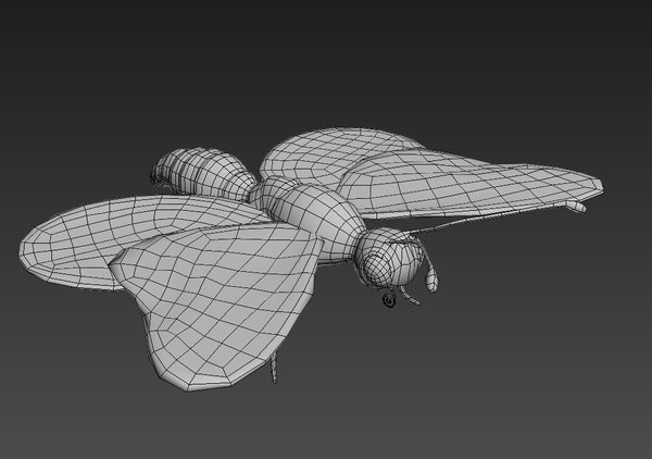 realistic butterfly rigged 3d model