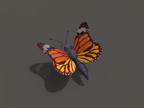 realistic butterfly rigged 3d model