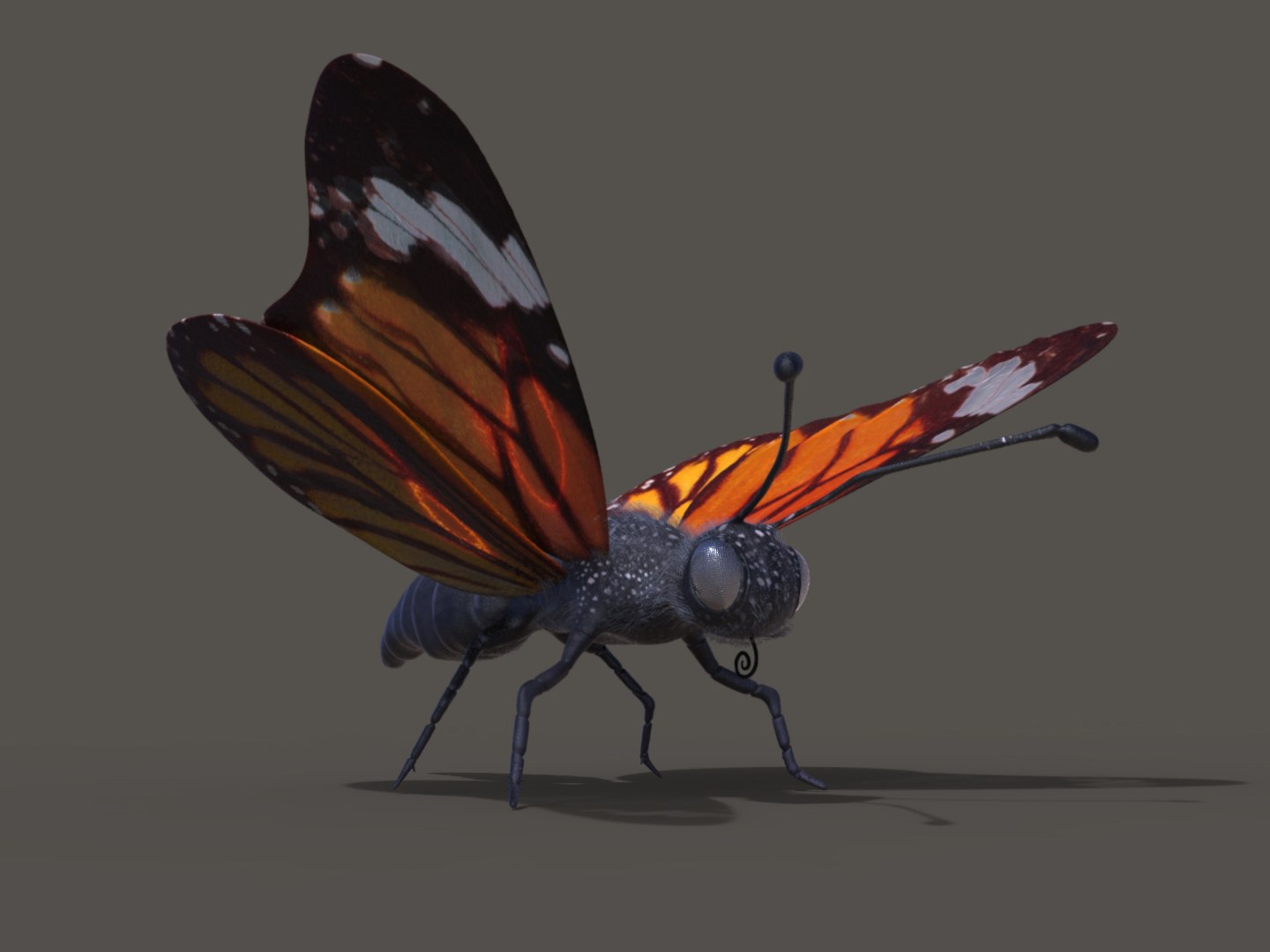 realistic butterfly rigged 3d model