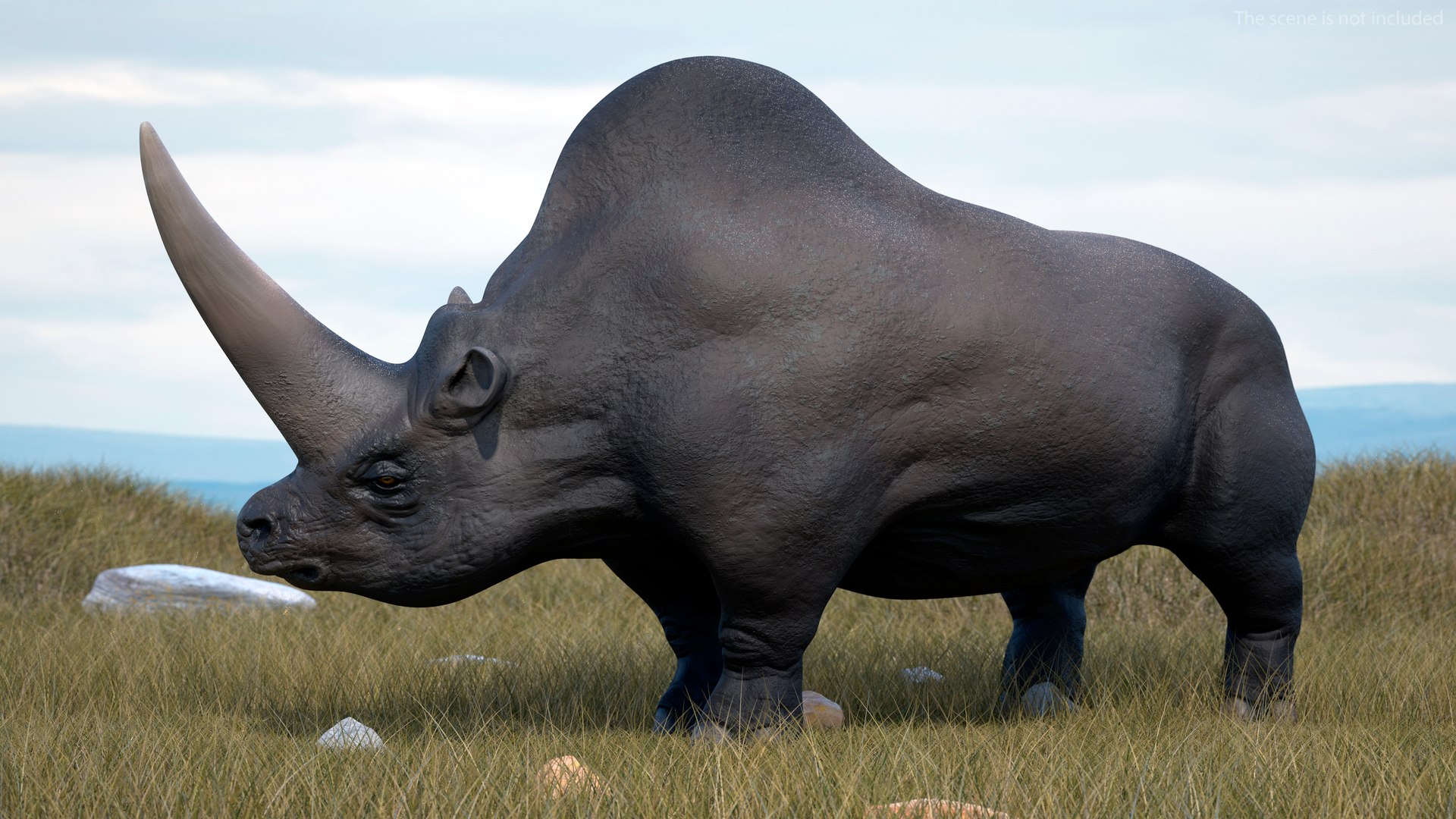 3D Elasmotherium Rigged For Modo Model - TurboSquid 1985032